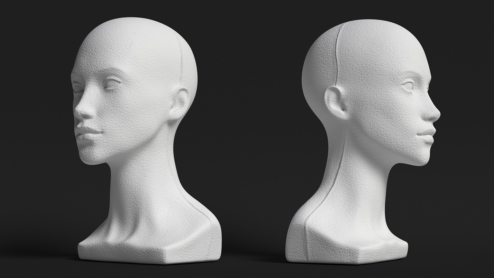 3D Styrofoam Woman Mannequin Head White - TurboSquid 2212191