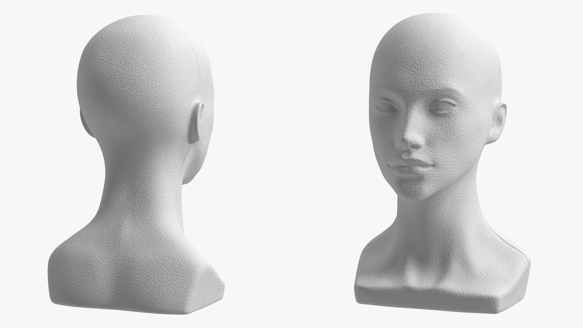 3D Styrofoam Woman Mannequin Head White - TurboSquid 2212191