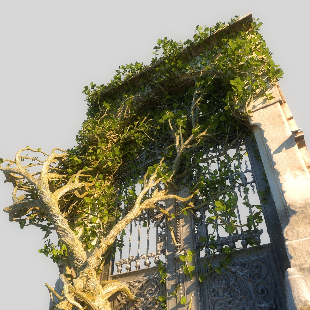 3D Overgrown Gate Ivy - TurboSquid 1785703