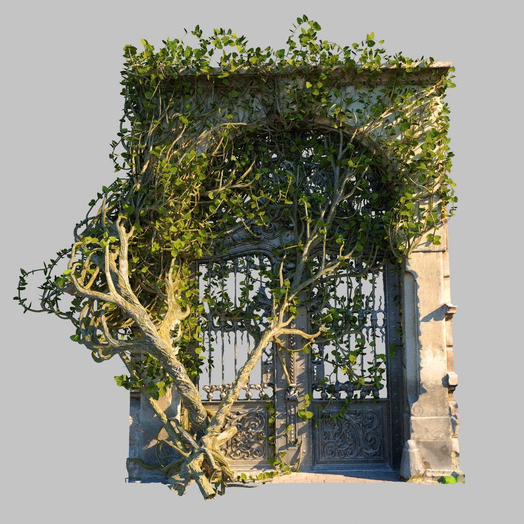 3D Overgrown Gate Ivy - TurboSquid 1785703
