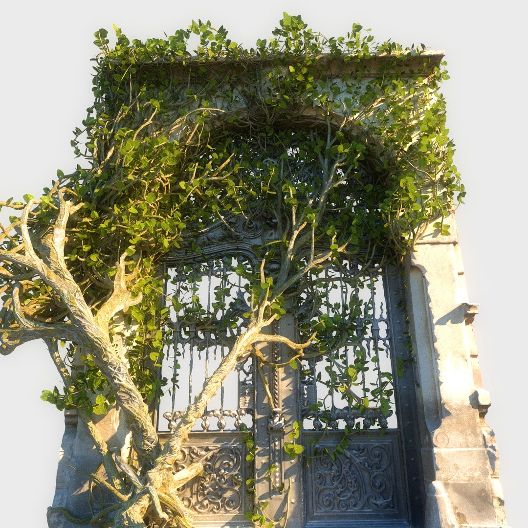 3D Overgrown Gate Ivy - TurboSquid 1785703