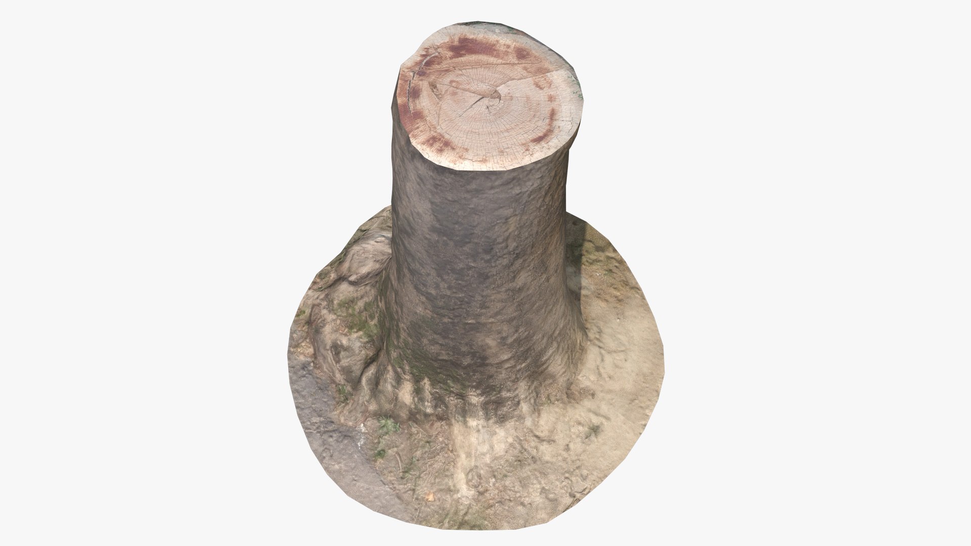 3D trunk scan 002 model - TurboSquid 1608120