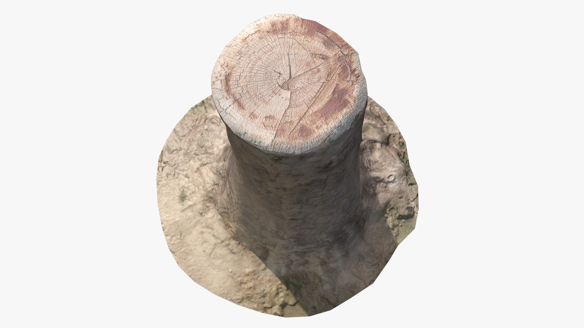 3D trunk scan 002 model - TurboSquid 1608120