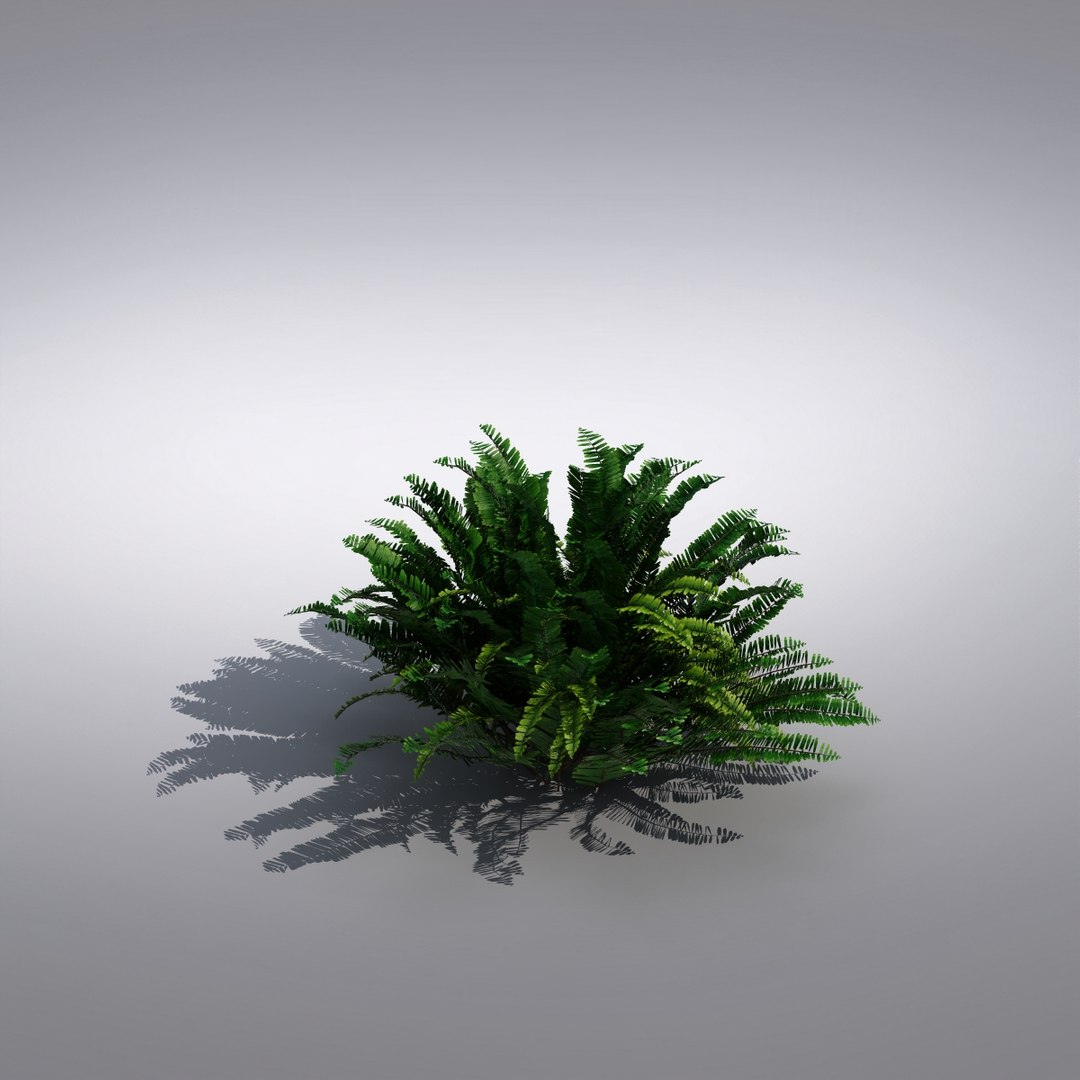 3d Realistic Plants Bush