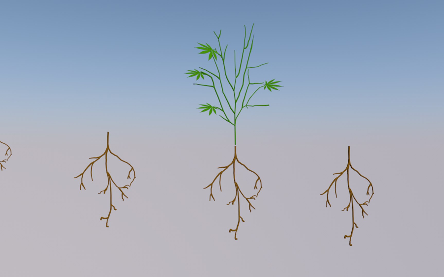 3D Plant Growth Animation - TurboSquid 1337658