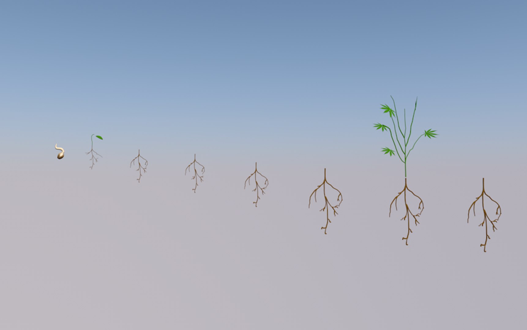 3D Plant Growth Animation - TurboSquid 1337658
