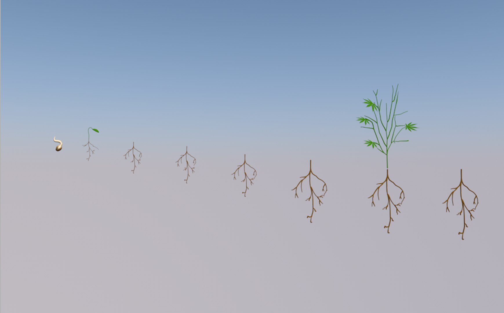 3D Plant Growth Animation - TurboSquid 1337658