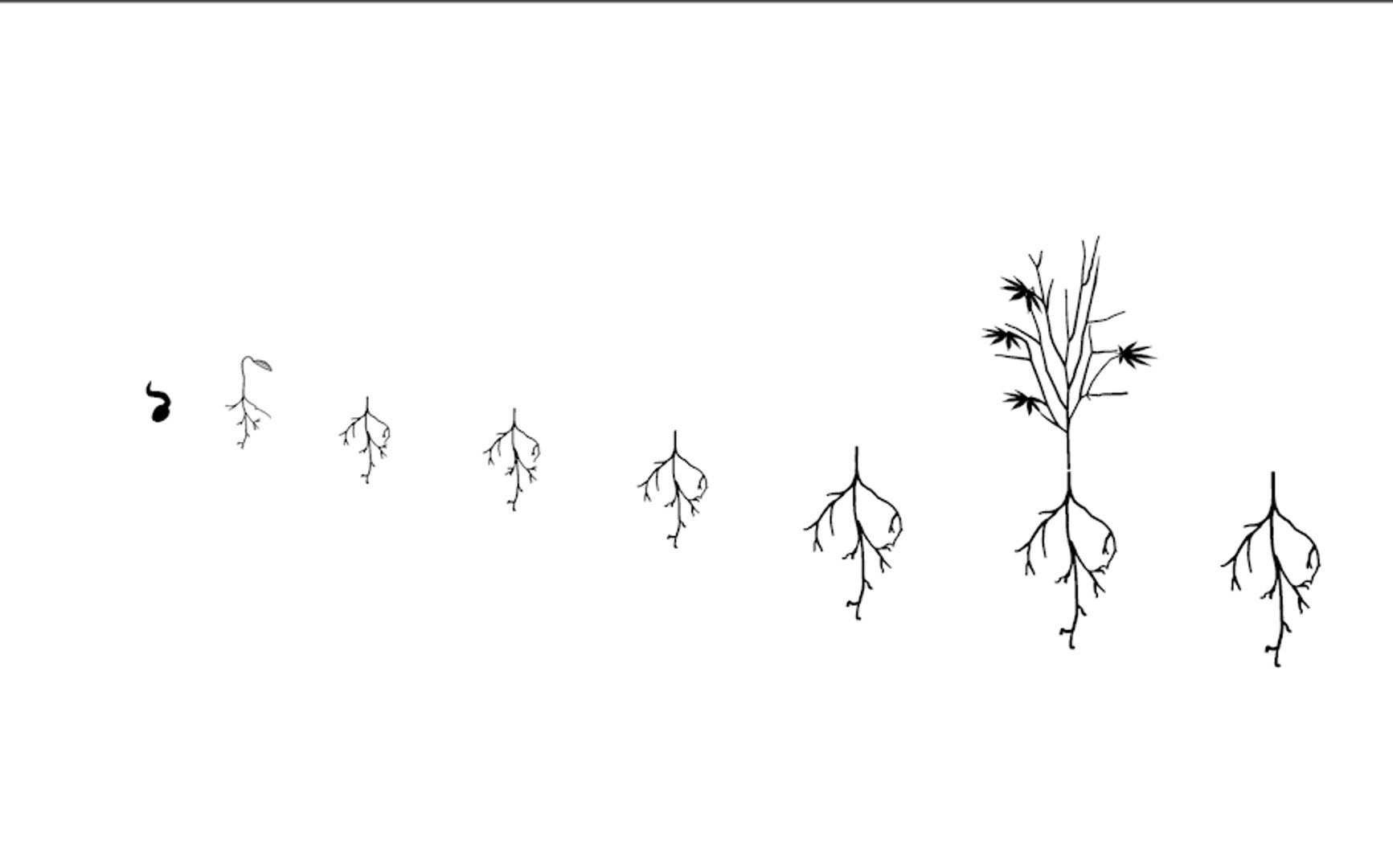 3D Plant Growth Animation - TurboSquid 1337658