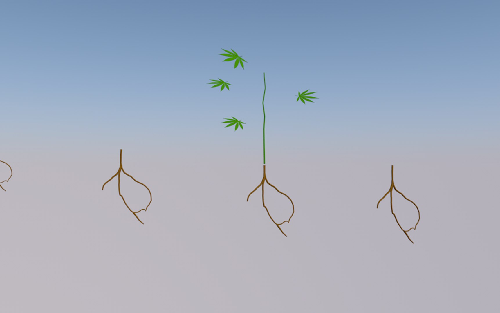 3D Plant Growth Animation - TurboSquid 1337658