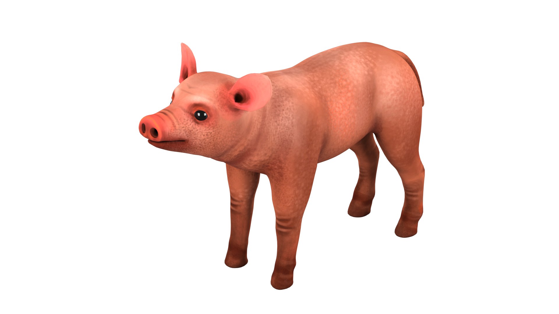 3D Pig Rig High-poly Textured - TurboSquid 2345731