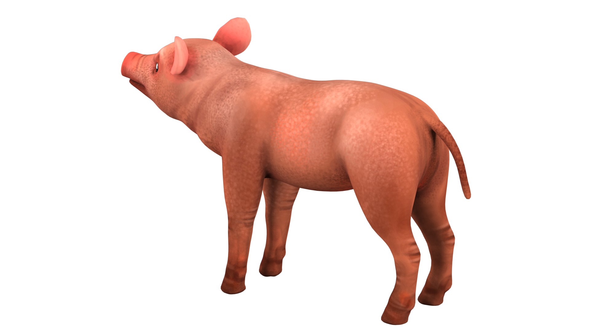 3D Pig Rig High-poly Textured - TurboSquid 2345731