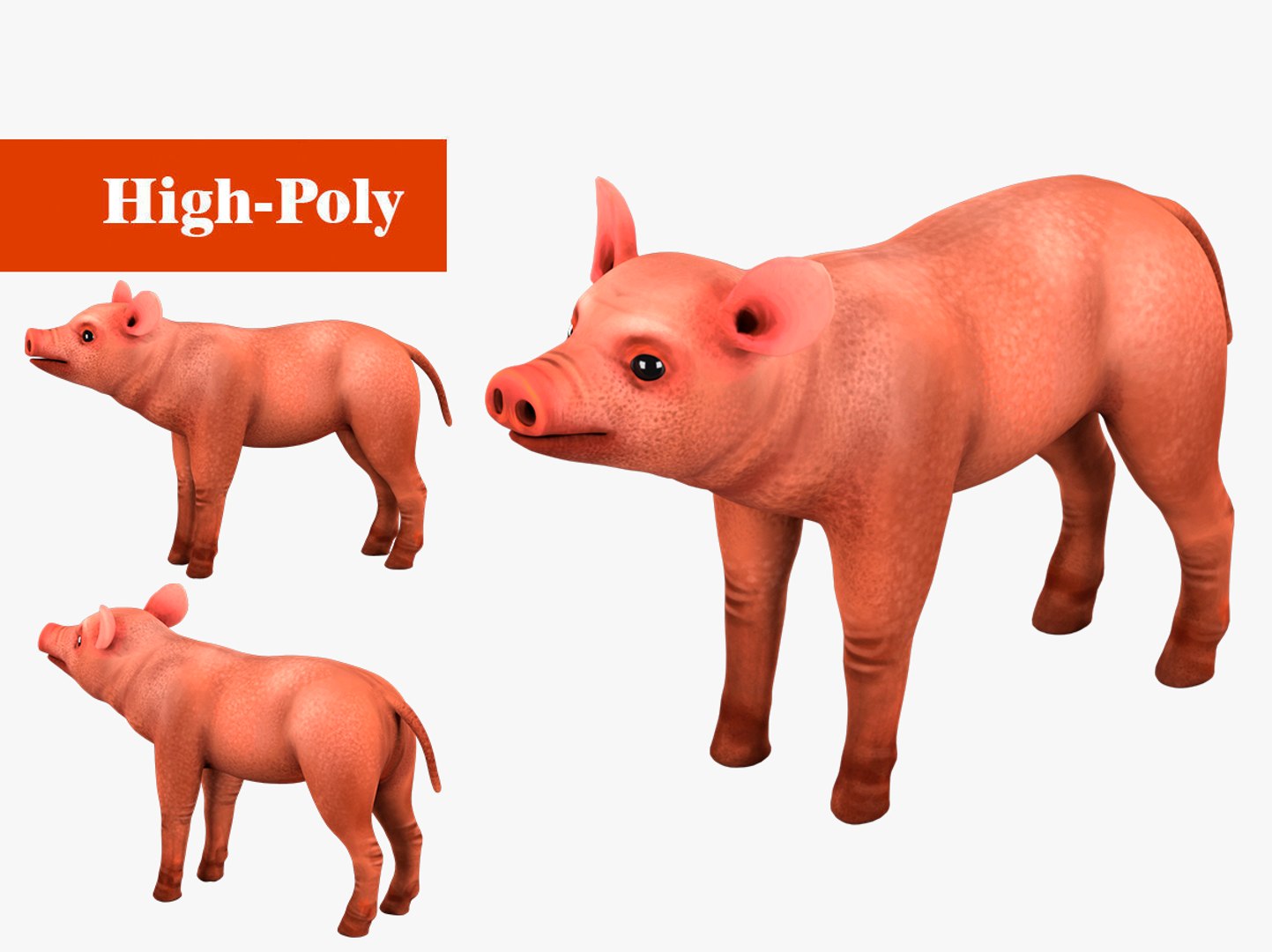 3D Pig Rig High-poly Textured - TurboSquid 2345731