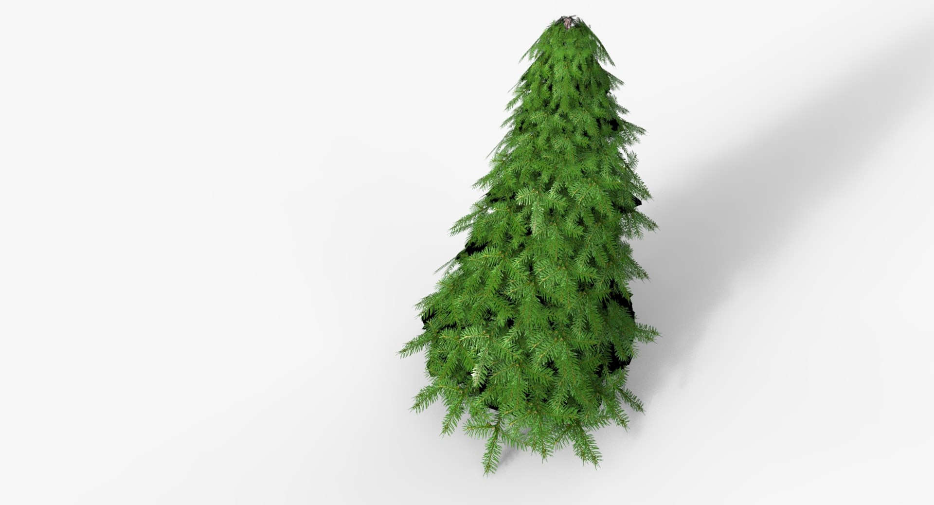 3D Pine Tree Model - TurboSquid 1218808