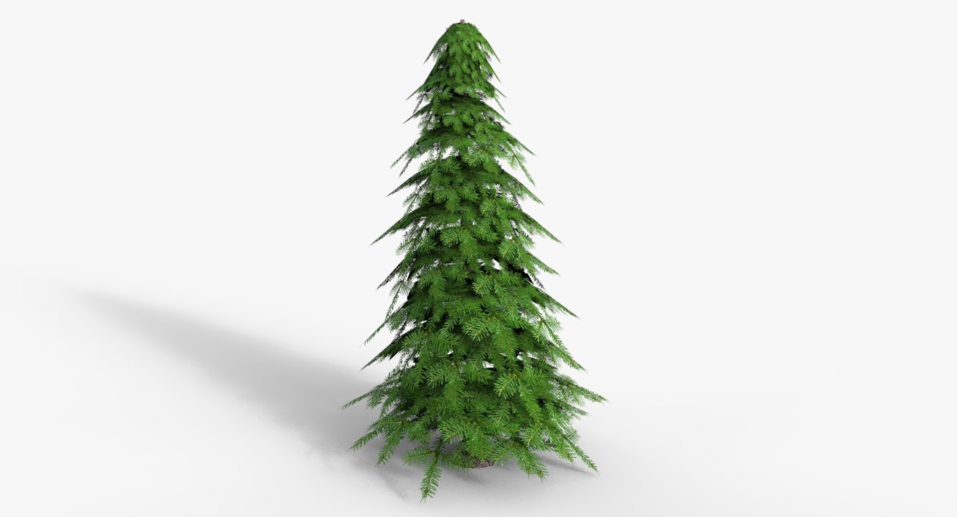 3D Pine Tree Model - TurboSquid 1218808