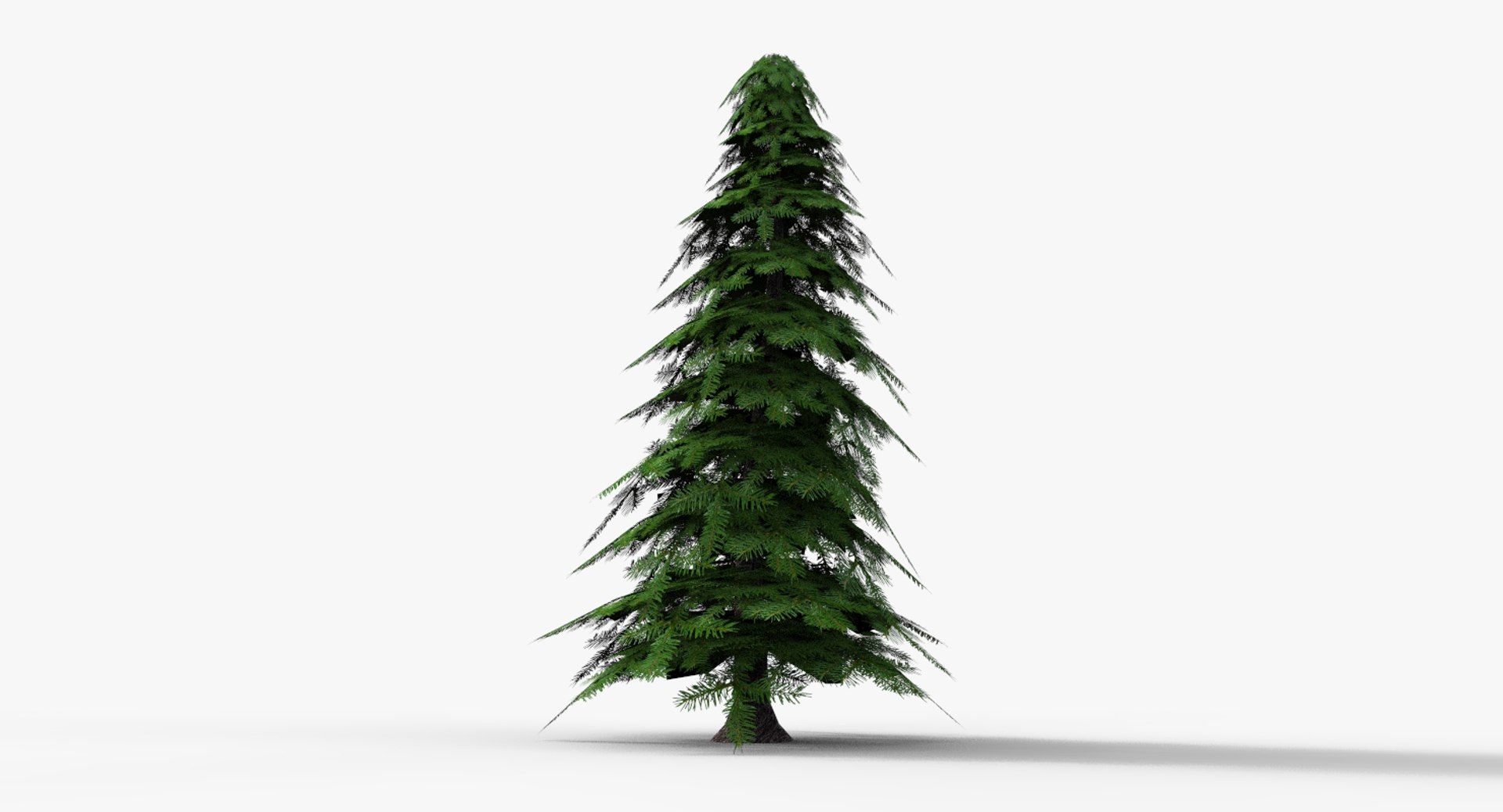 3D Pine Tree Model - TurboSquid 1218808