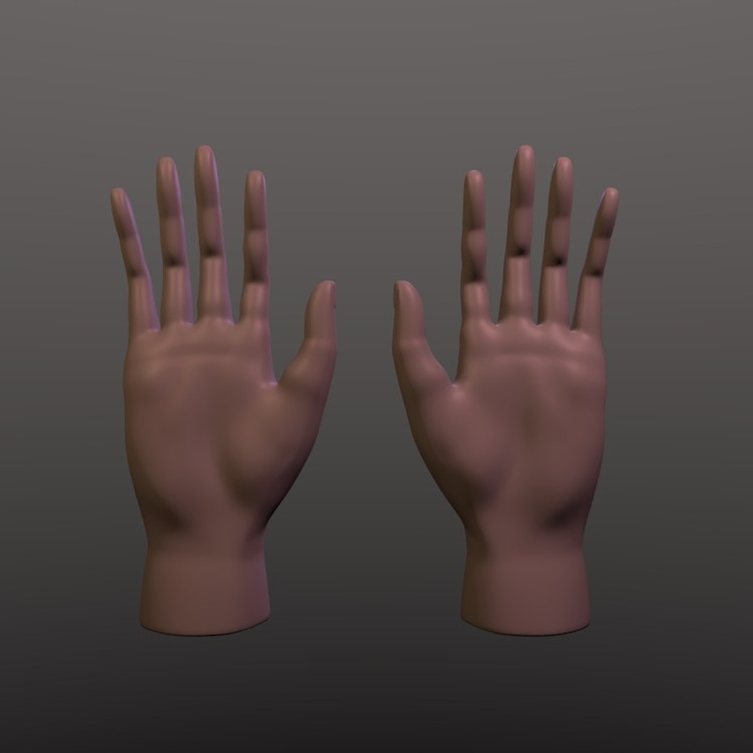 Hands Rig Model - TurboSquid 1598130