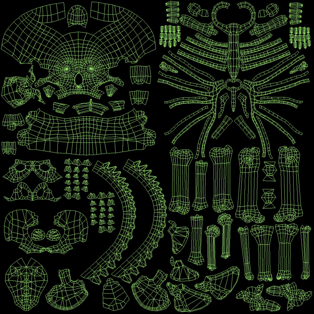 Human Skeleton 3d Model