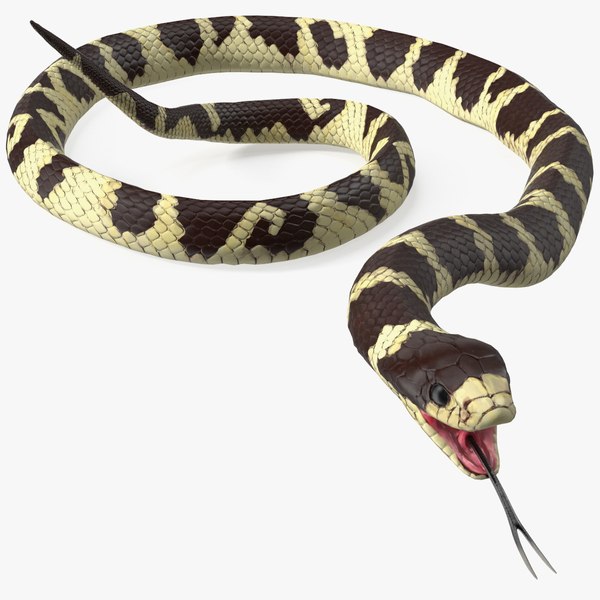 蛇3D模型下载| TurboSquid