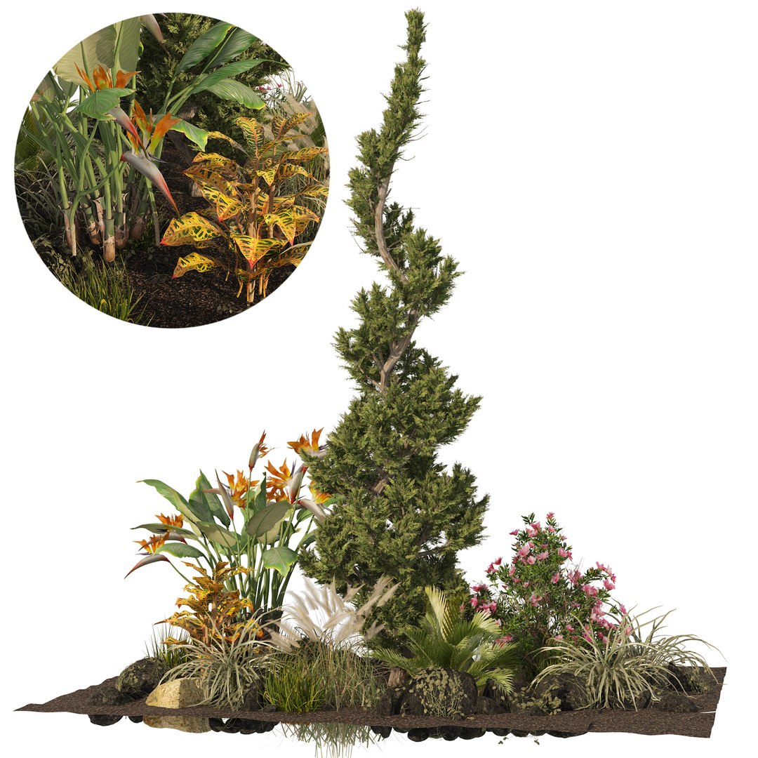 3D Plant Collection For Garden And Landscape - TurboSquid 2017774