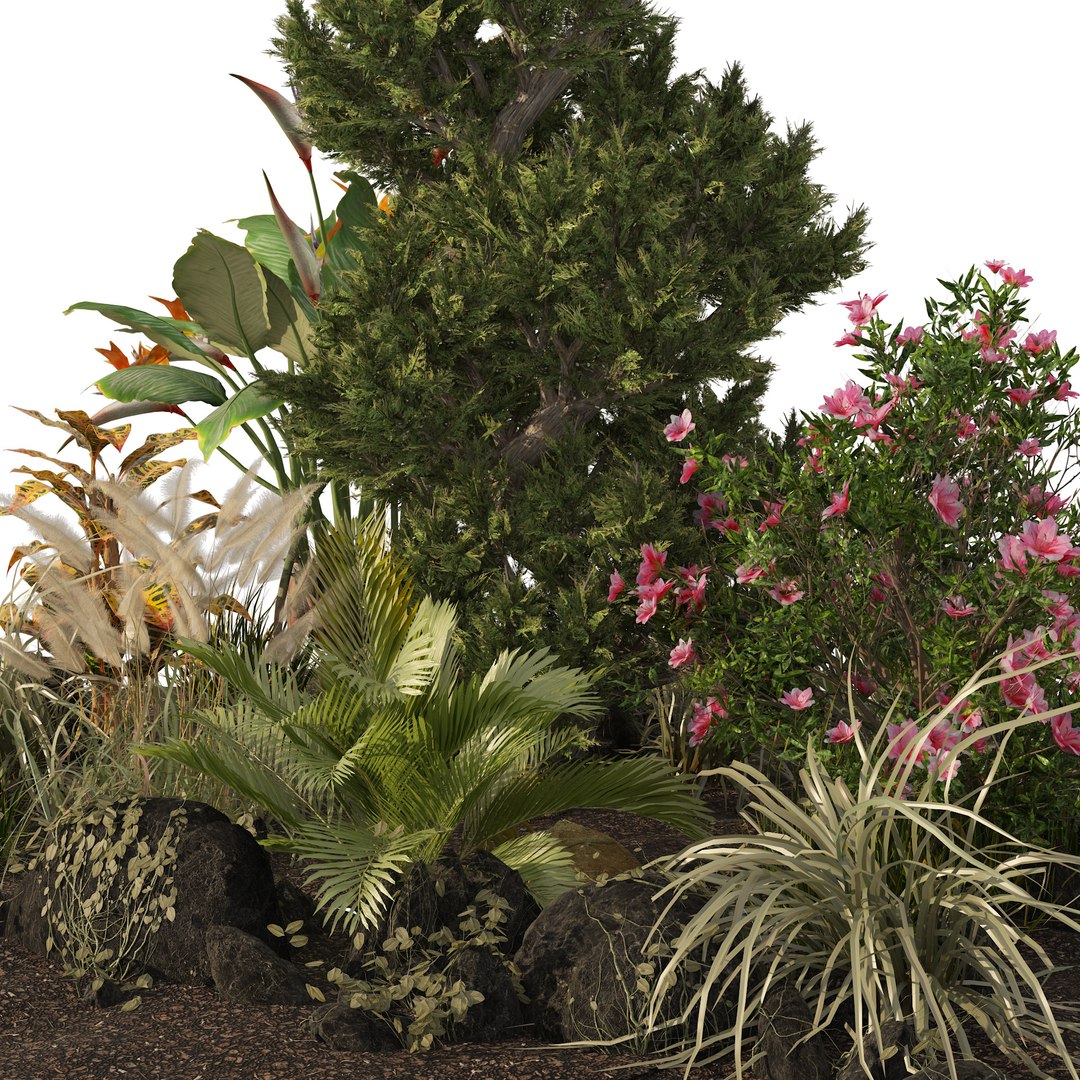 3D Plant Collection For Garden And Landscape - TurboSquid 2017774