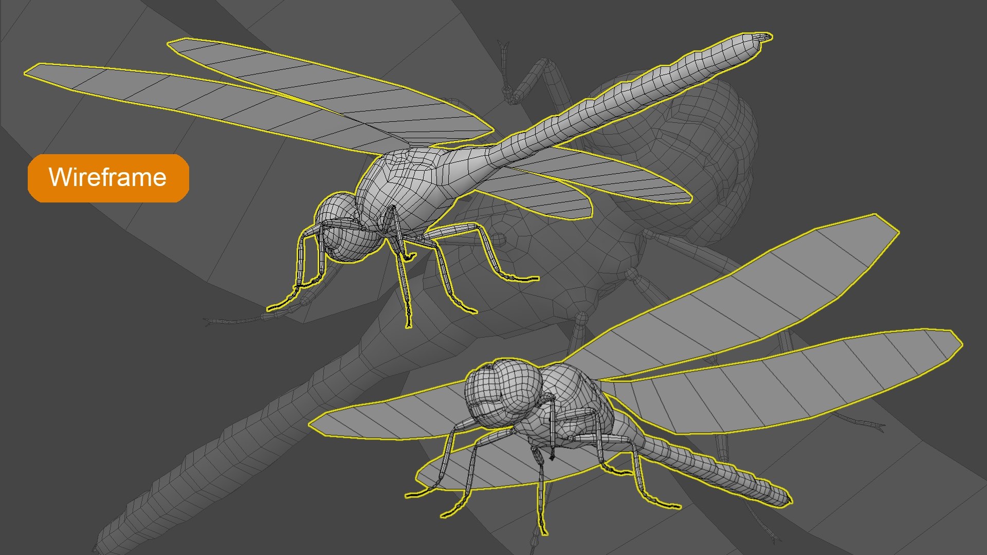 3D Eight Spotted Dragonfly - TurboSquid 2212829