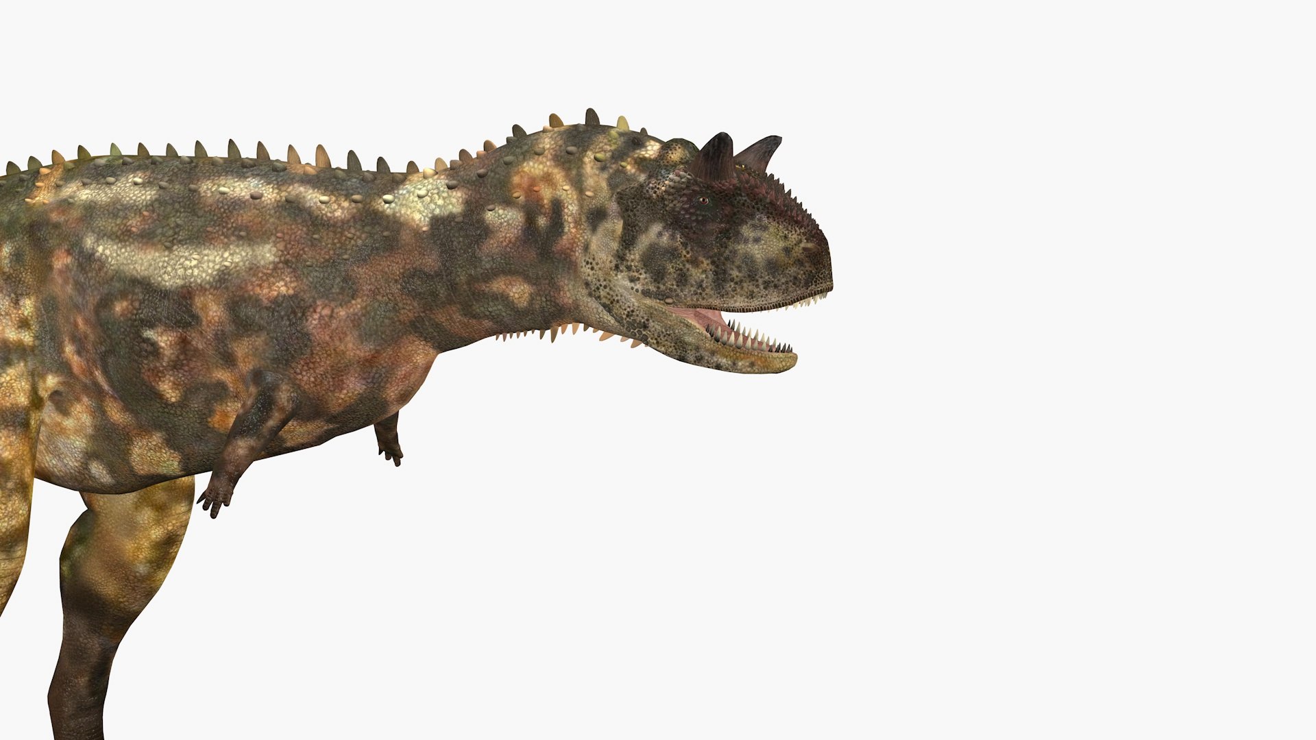Carnotaurus Dinosaur Model - TurboSquid 2341295