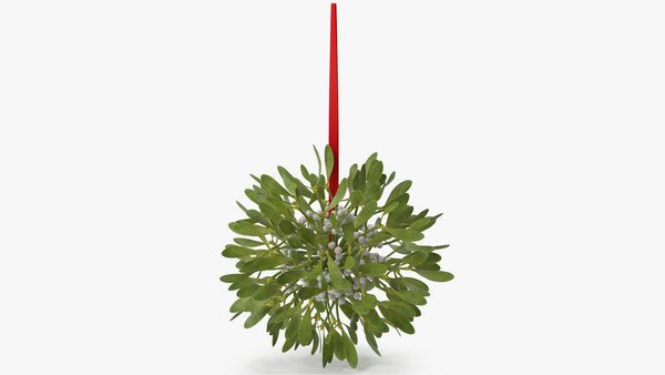 3D Mistletoe v 2 model - TurboSquid 1804816