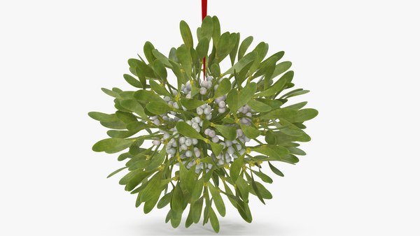 3D Mistletoe v 2 model - TurboSquid 1804816