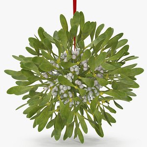 Mistletoe 3D Models for Download | TurboSquid