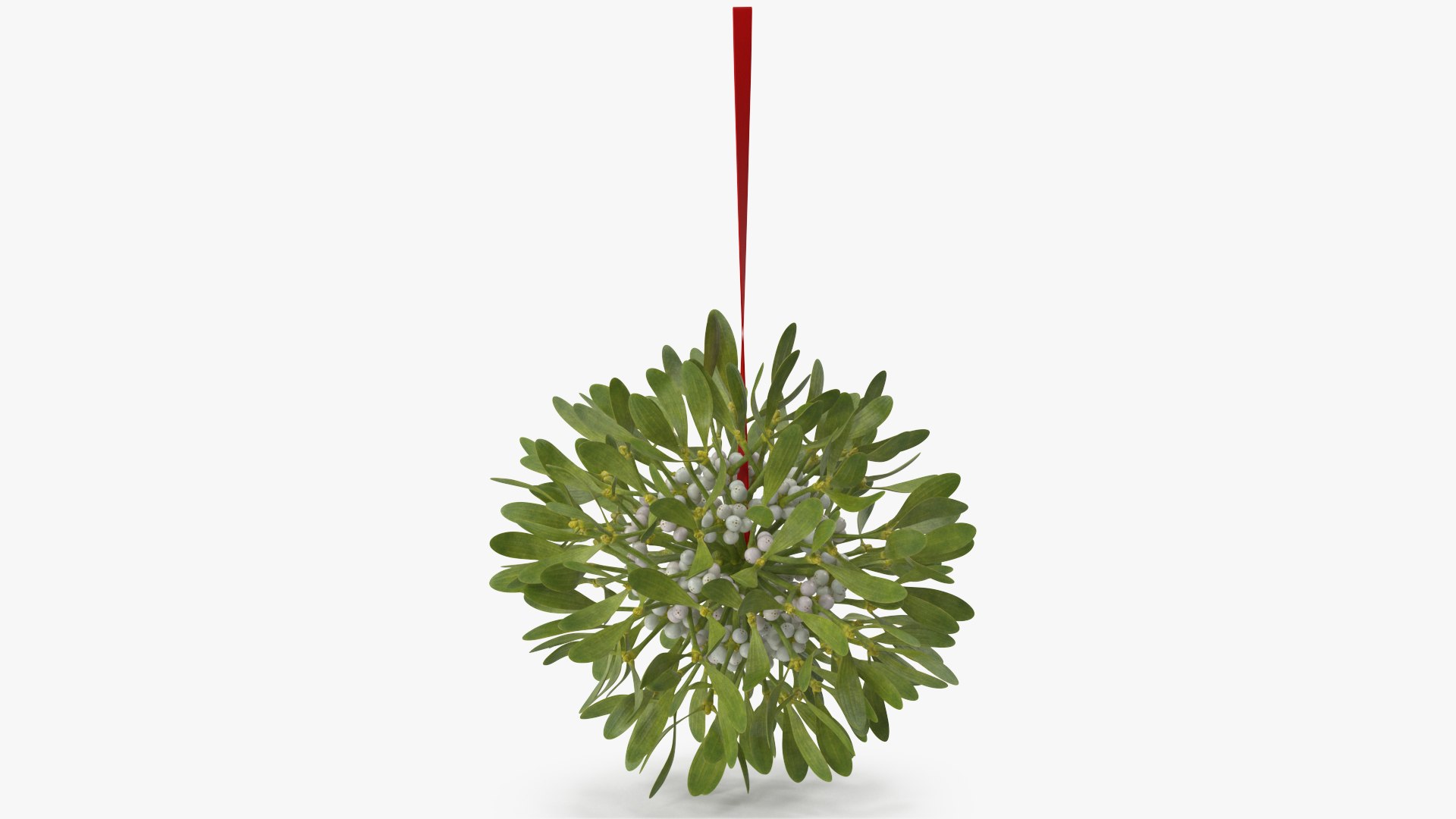 3D Mistletoe V 2 Model - TurboSquid 1804816