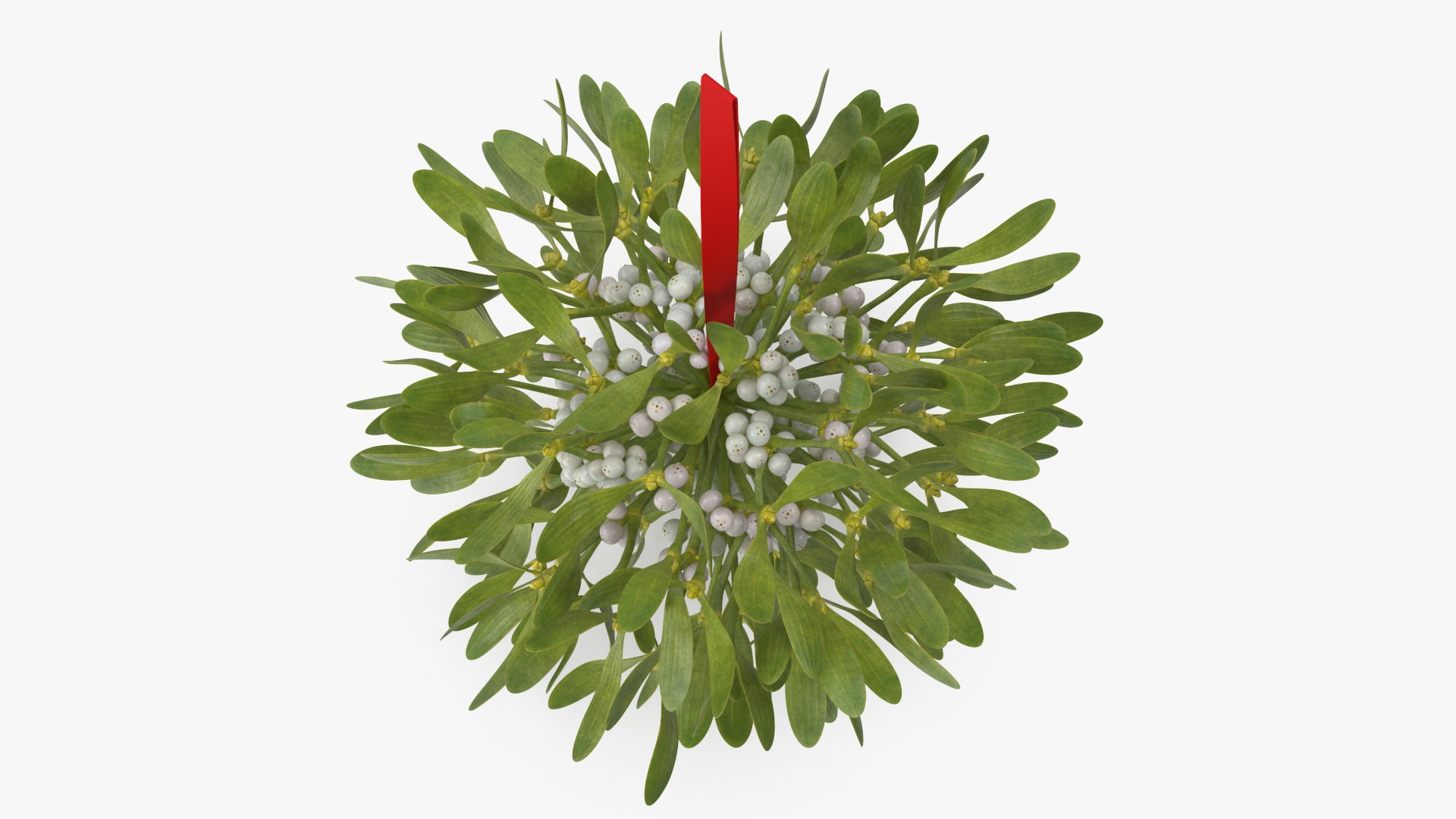 3D Mistletoe V 2 Model - TurboSquid 1804816
