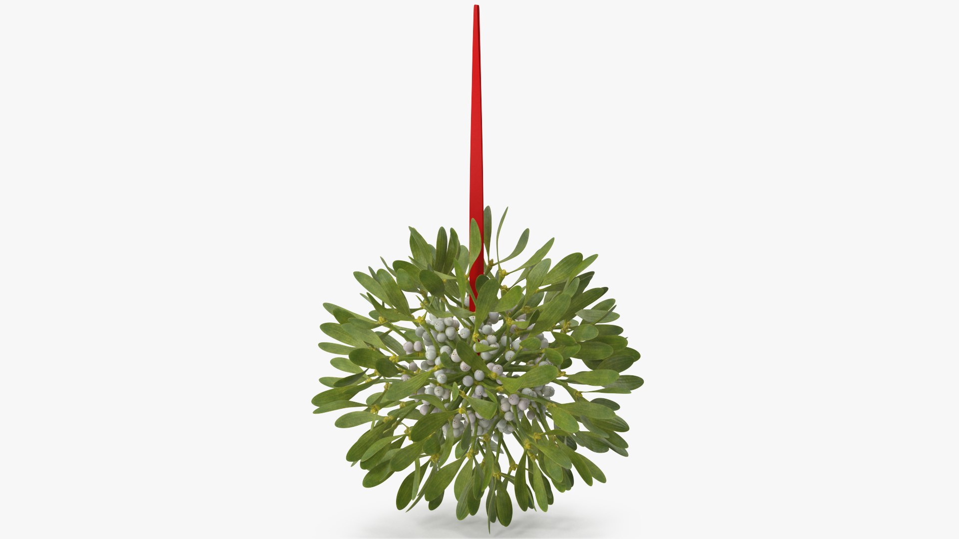 3D Mistletoe V 2 Model - TurboSquid 1804816