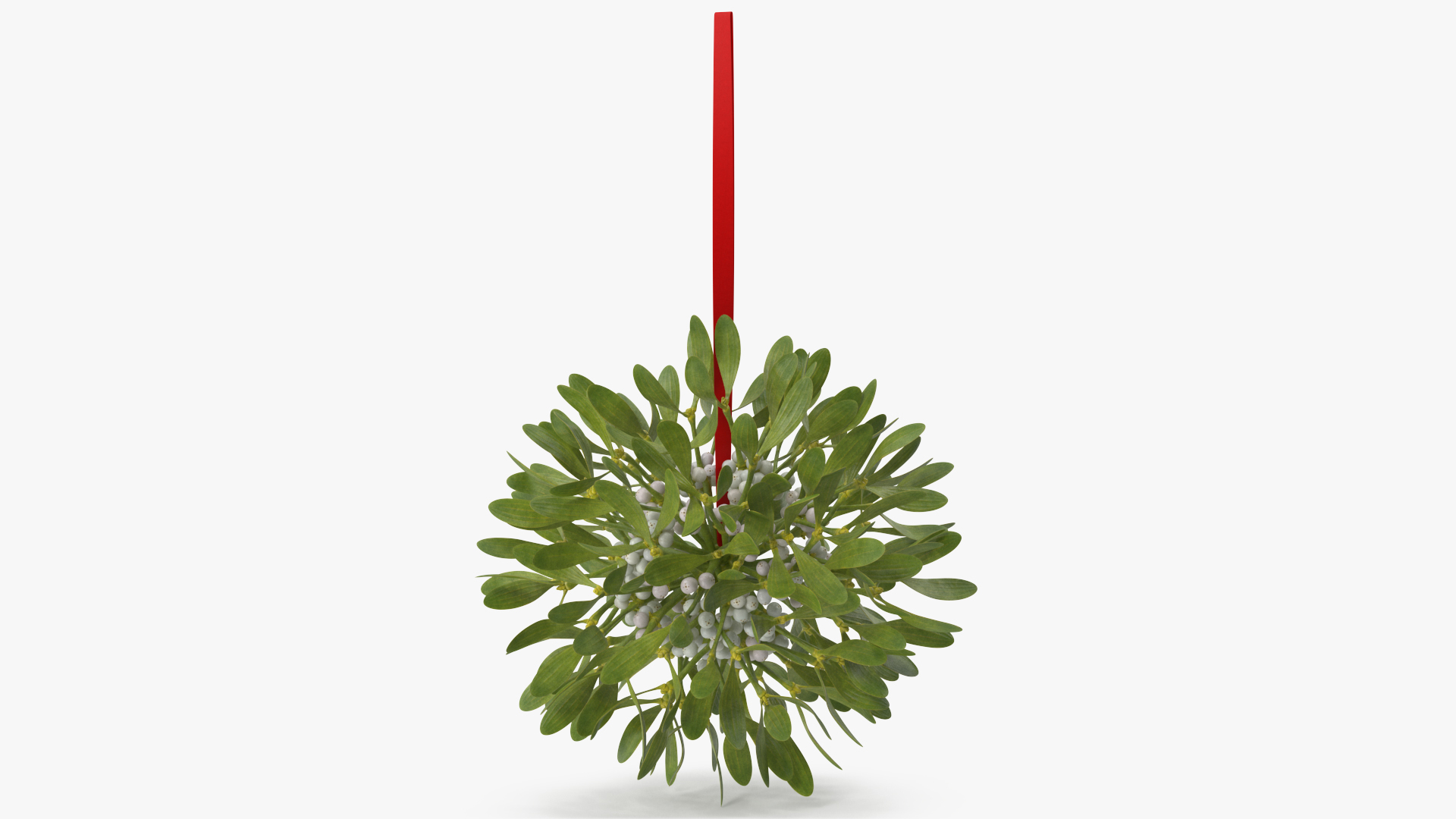 3D Mistletoe V 2 Model - TurboSquid 1804816