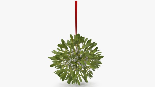 3D Mistletoe v 2 model - TurboSquid 1804816