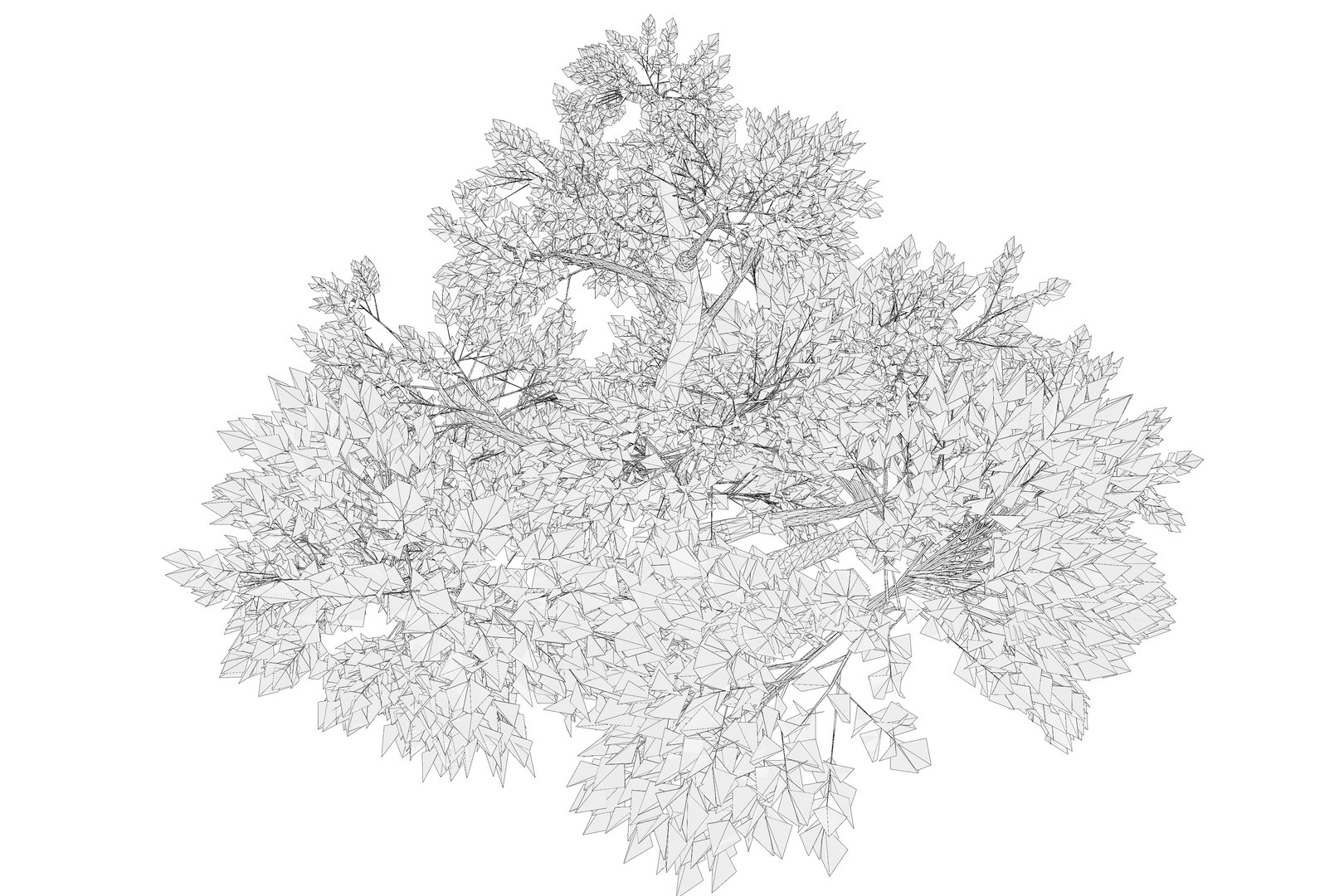 3D Tree 01 - TurboSquid 2249775