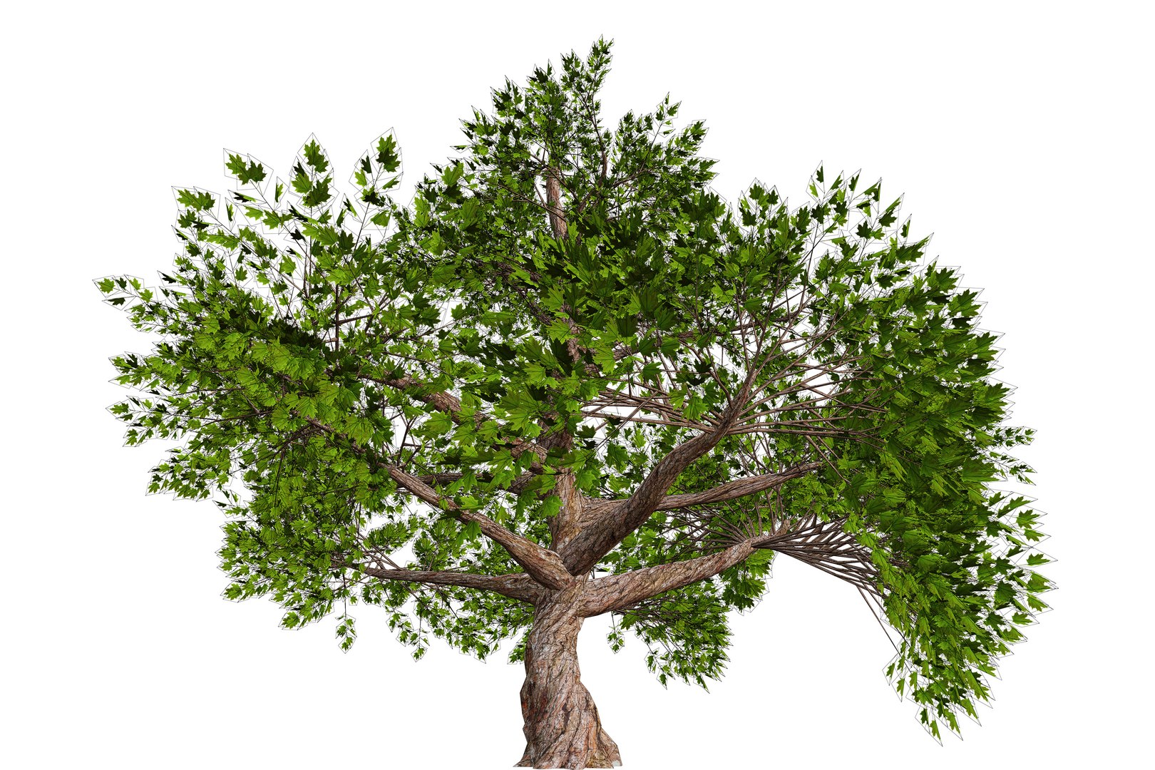 3D Tree 01 - TurboSquid 2249775