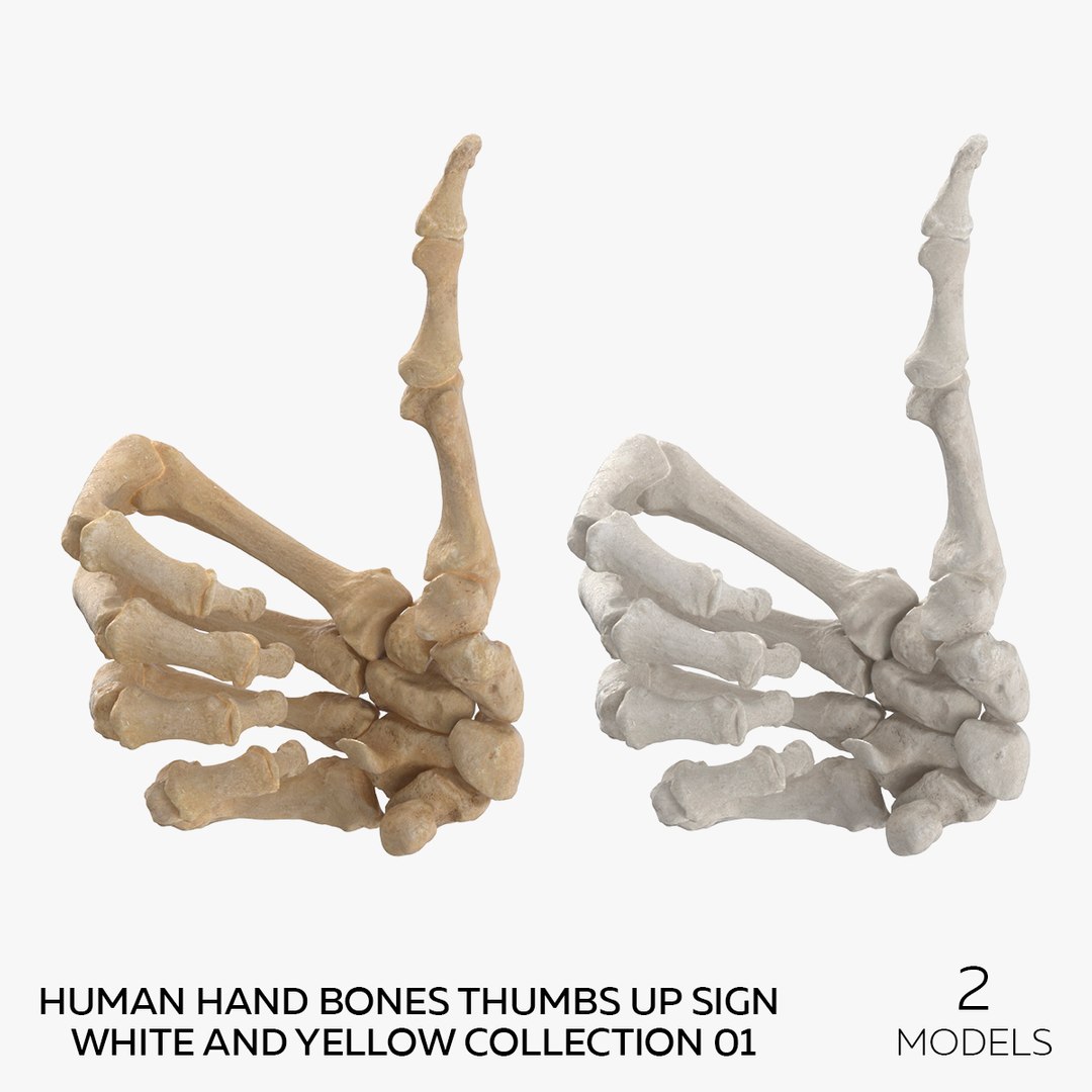 Human Hand Bones Thumbs Up Sign White And Yellow Collection 01 - 2 ...