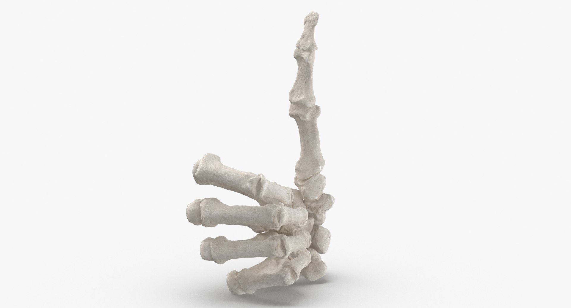Human Hand Bones Thumbs Up Sign White And Yellow Collection 01 - 2 ...