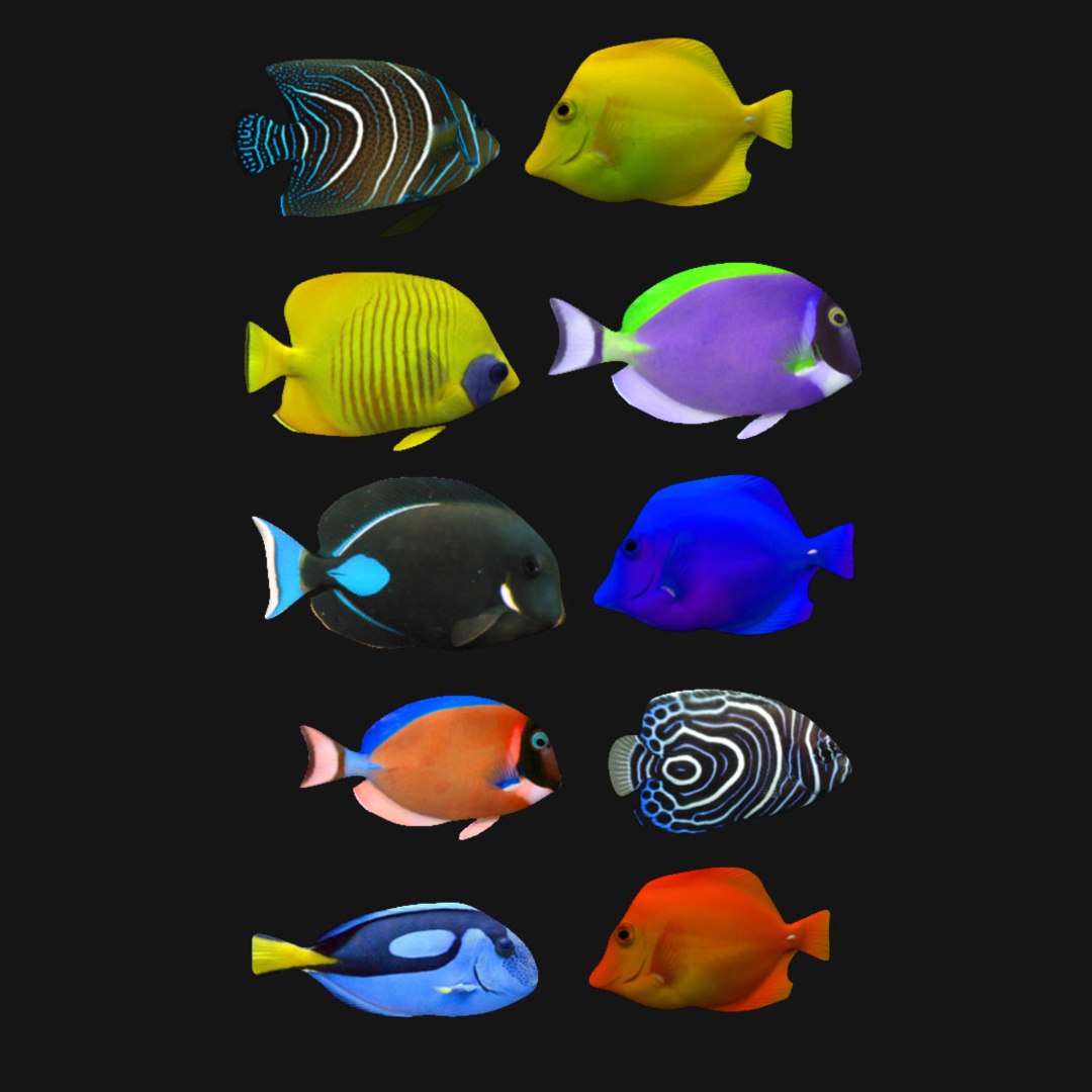 Fish Aquarium 3D - TurboSquid 1243198