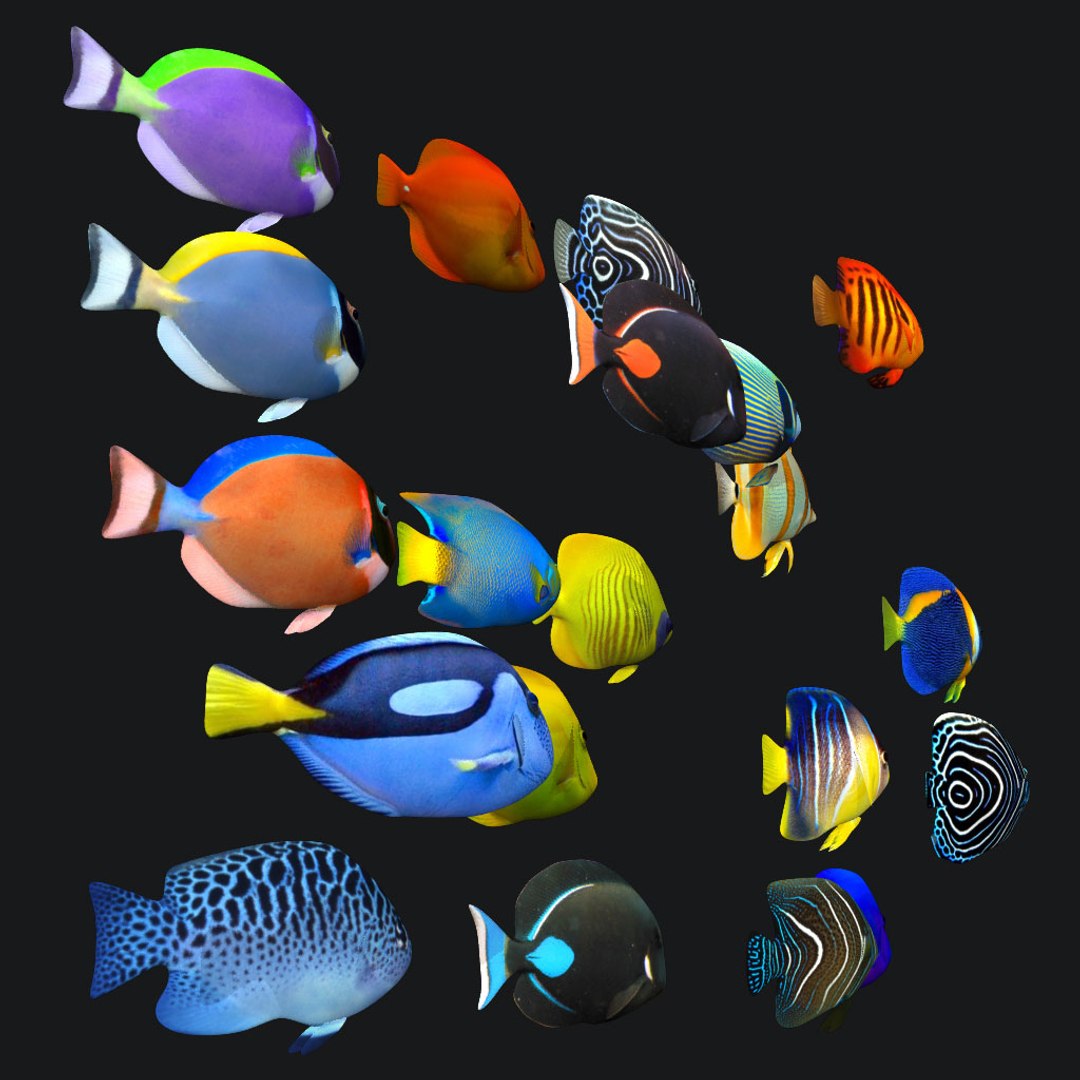 Fish Aquarium 3D - TurboSquid 1243198