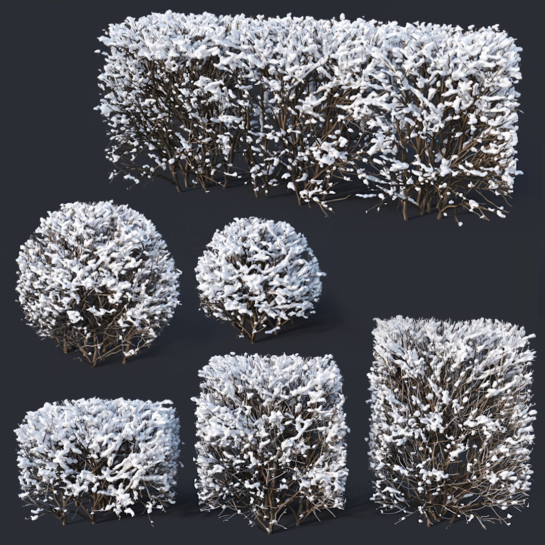 Modular Hedges 3D - TurboSquid 1354257