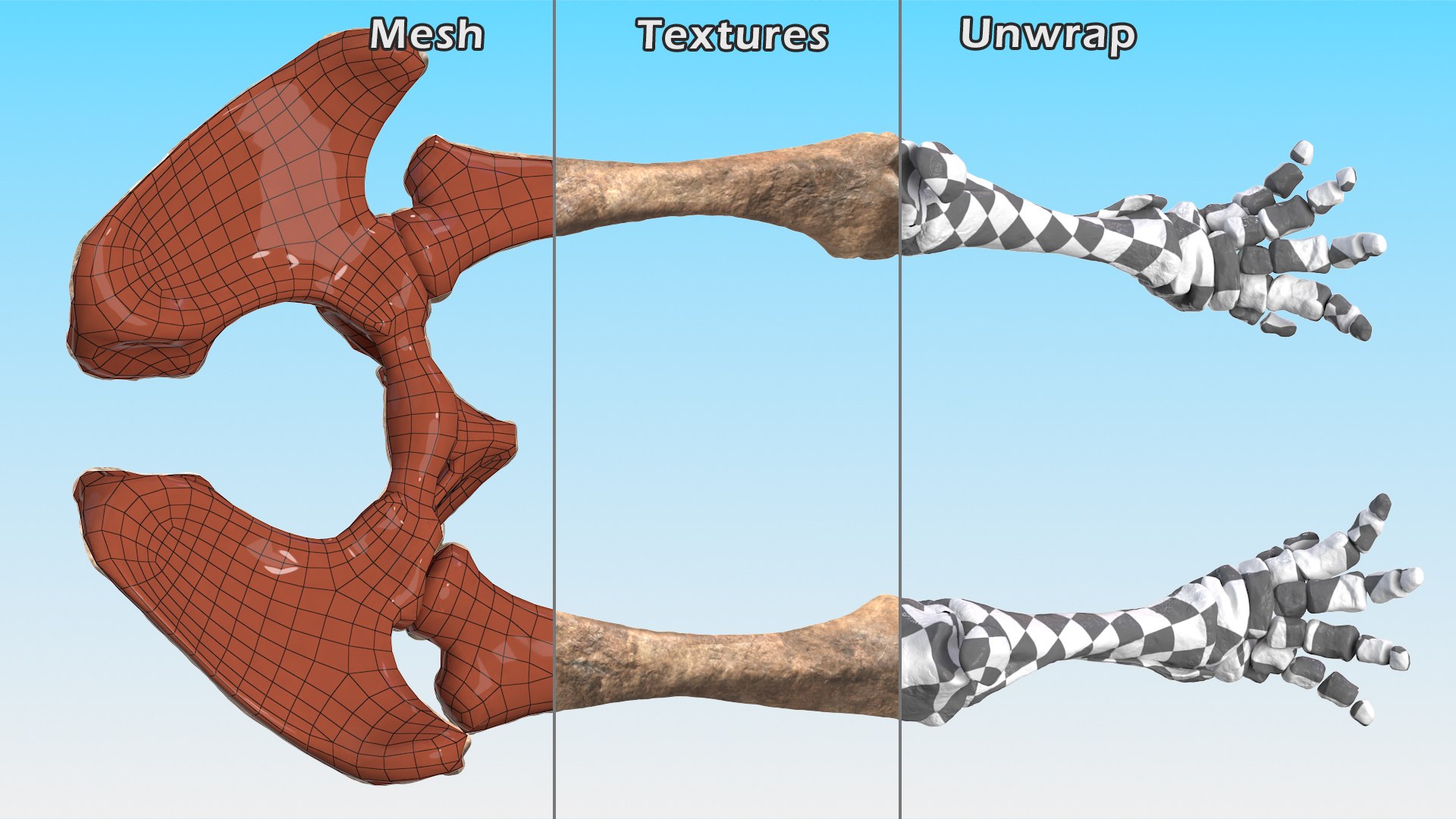 Mammoth Skeleton Foot Old Bones Model - TurboSquid 1800425