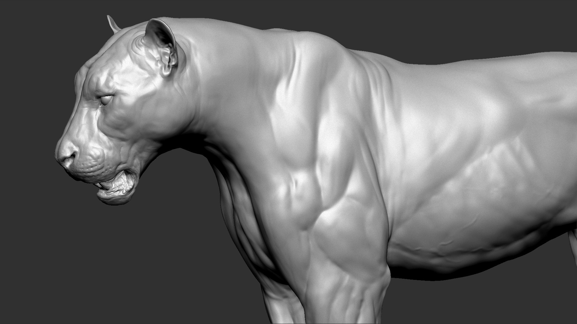 3D tiger vfx ultra zbrush - TurboSquid 1531903