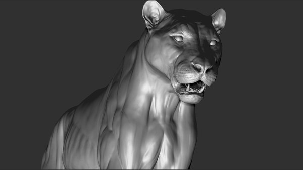 Tiger VFX ULTRA Cinematic Realistic Zbrush Sculpt 13D模型 - TurboSquid ...