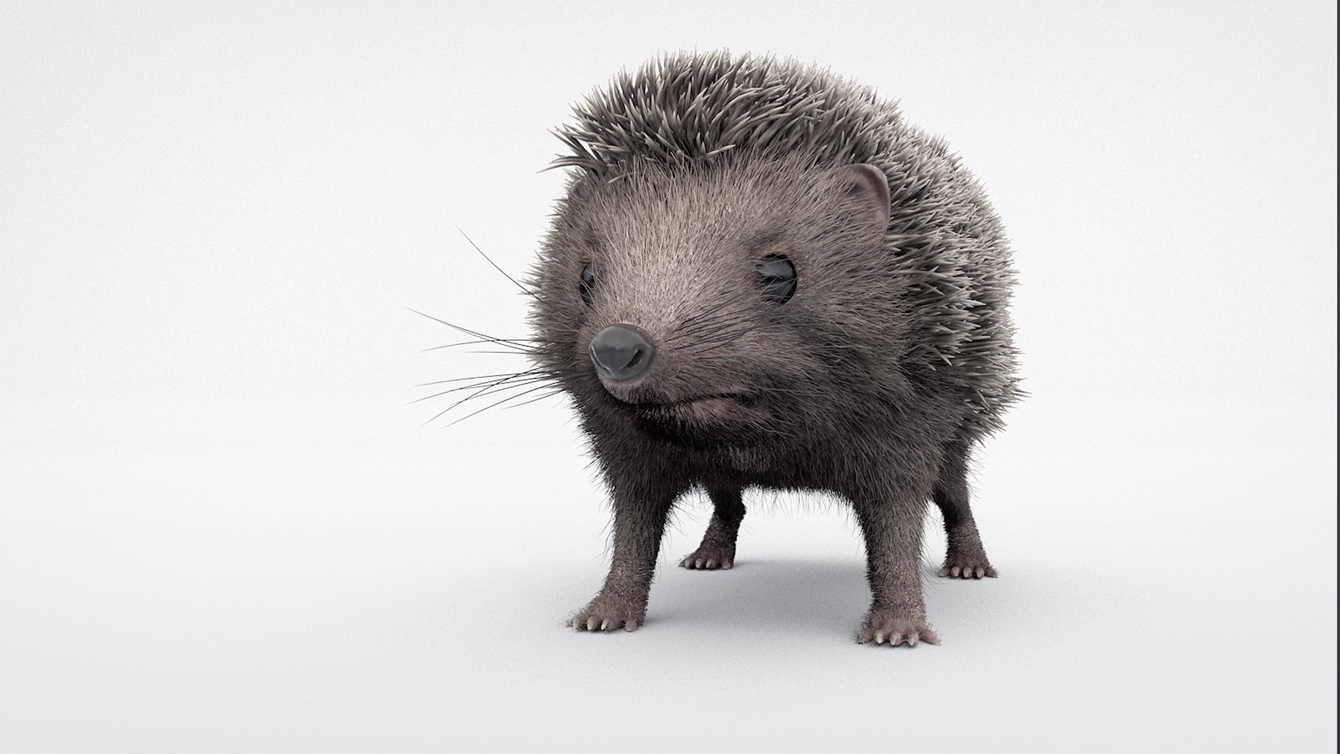 3D Realistic Hedgehog Model - TurboSquid 1397593