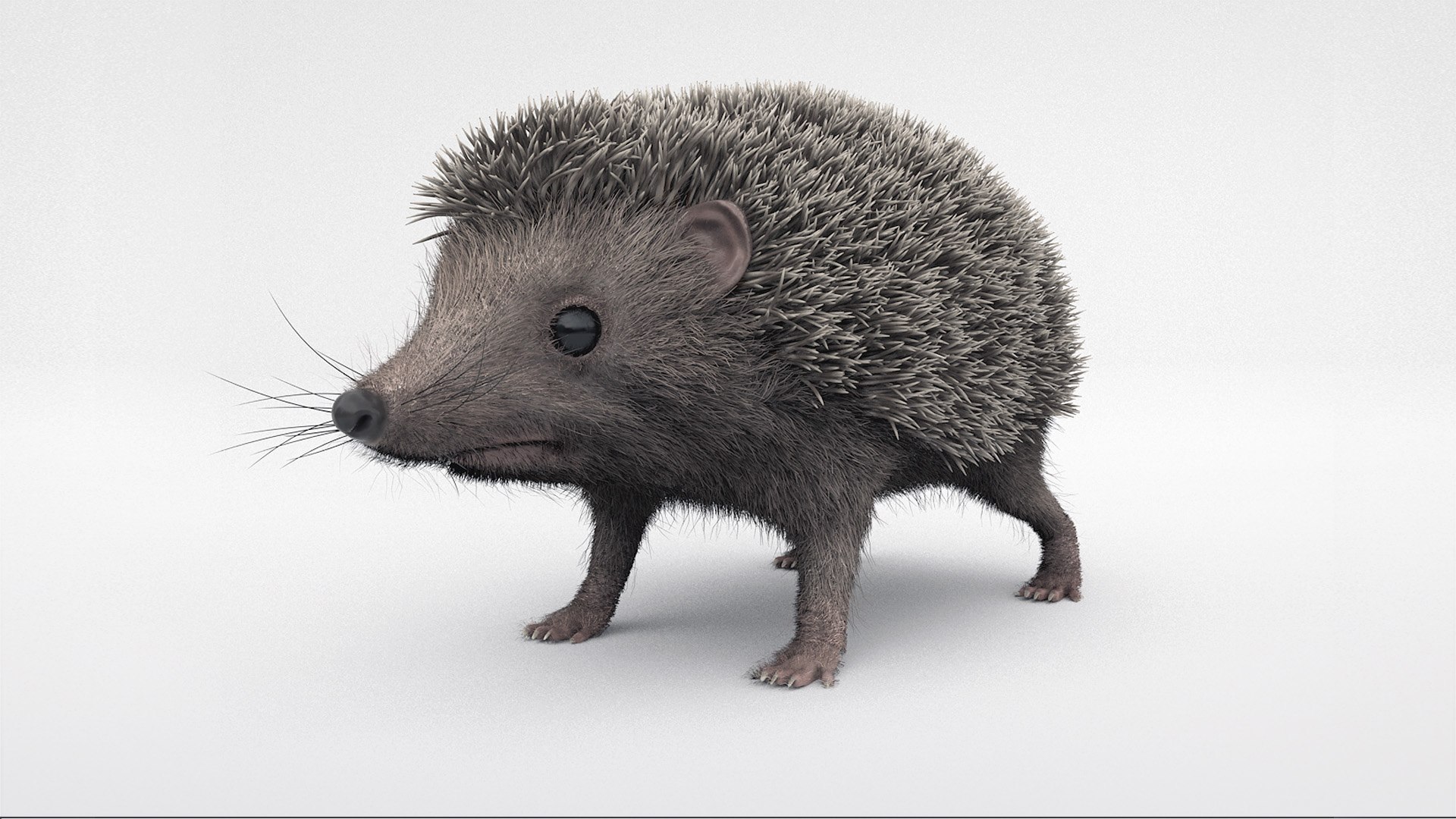 3D Realistic Hedgehog Model - TurboSquid 1397593