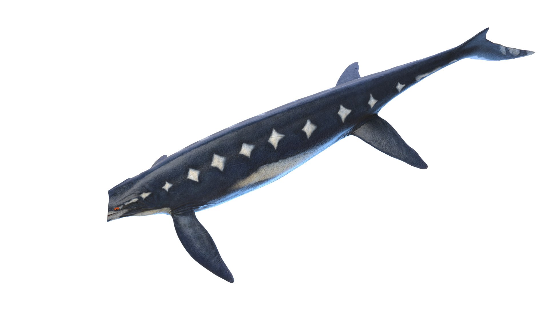 3D Model Shonisaurus Static - TurboSquid 1919527