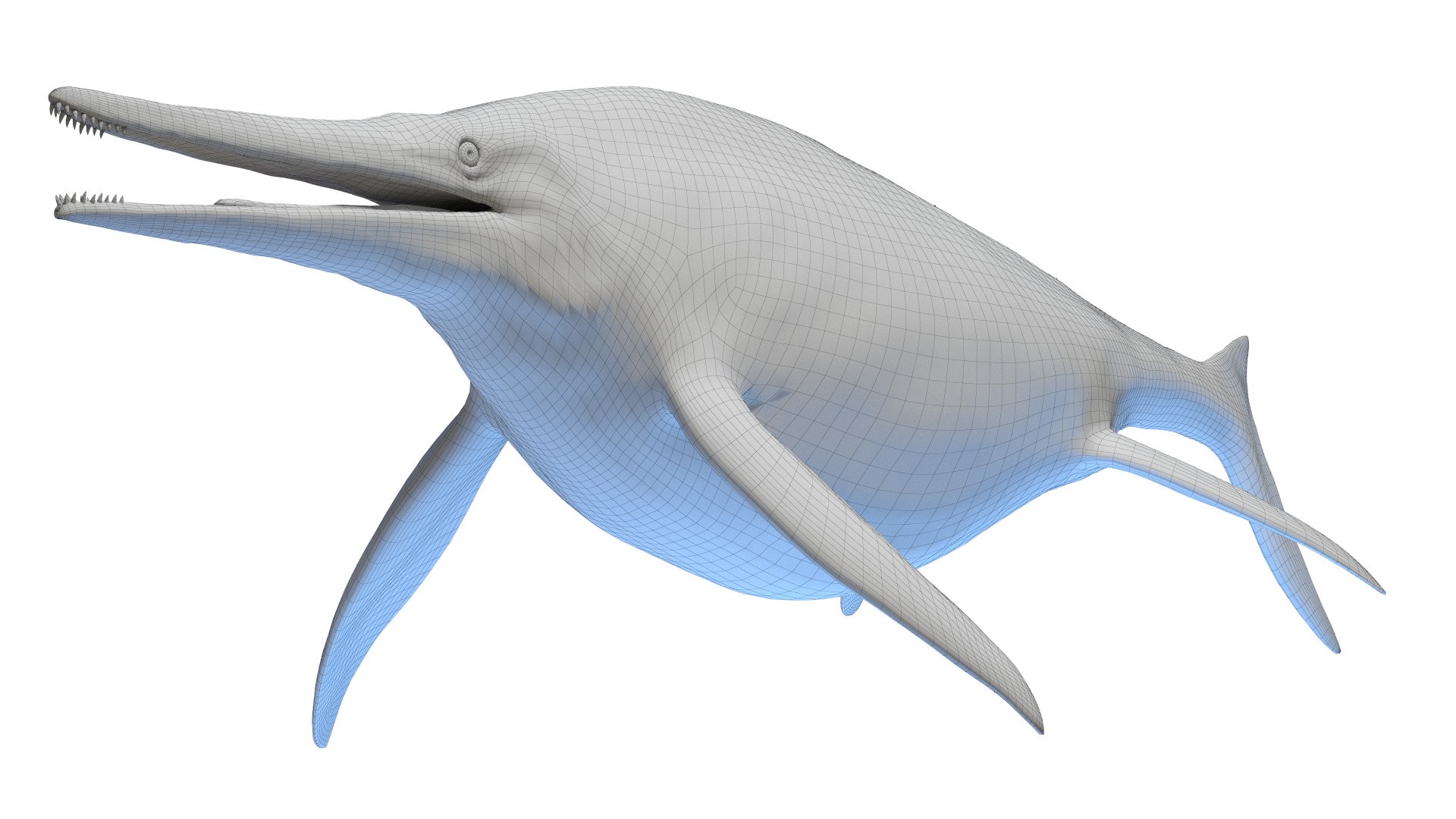 3D Model Shonisaurus Static - TurboSquid 1919527