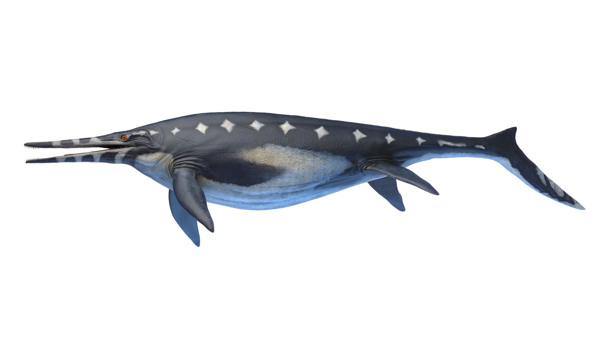 3D Model Shonisaurus Static - TurboSquid 1919527