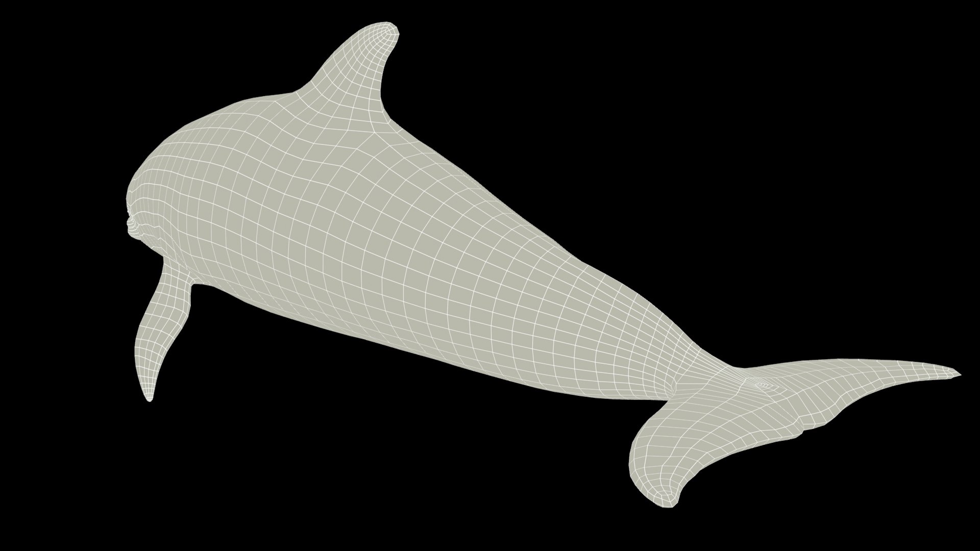 3D Dolphin model - TurboSquid 2180966